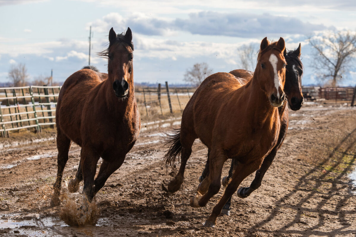 West Warren’s Jordan Hadley carries on family tradition — love of ...